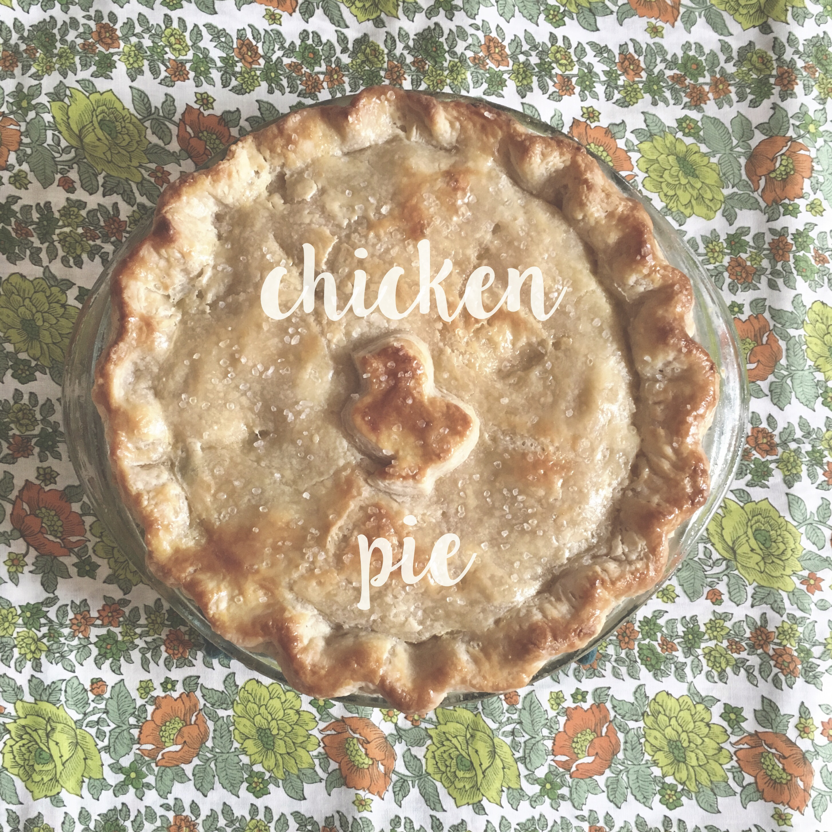me oh my pie {week 12} | thespeckledpumpkin